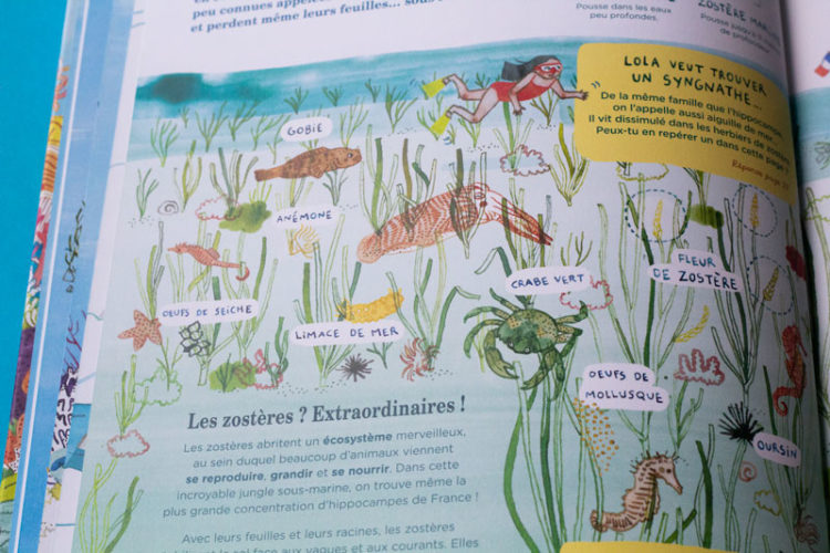 Océans … et comment les sauver - Culture Kids